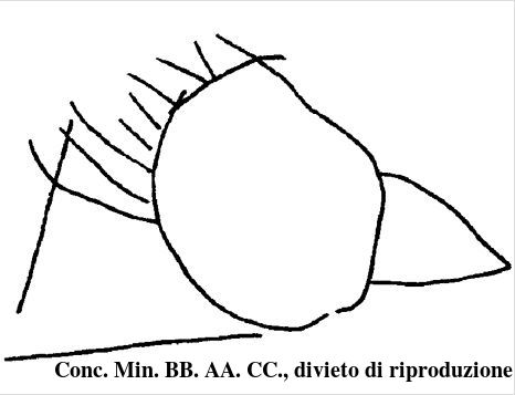 Ancient Graffiti Project :: Graffito Information
