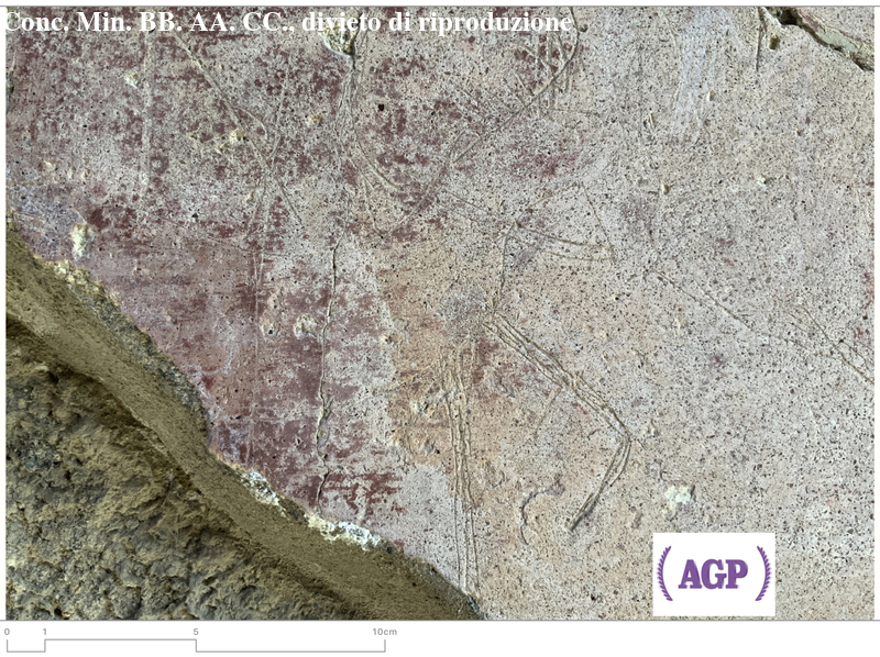 Ancient Graffiti Project :: Graffito Information